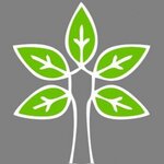 Green pharma (Parkovaya ulitsa No:1Ак3), optik  Kislovodsk'tan