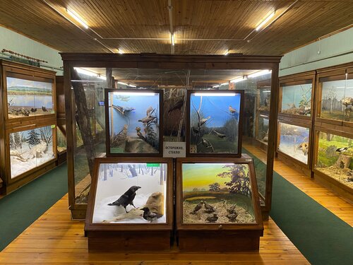 Müzeler ve sanat galerileri Museum of nature of Oksky state nature biosphere reserve, Riazanskaya oblastı, foto