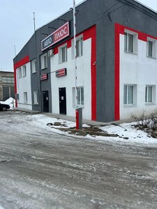 Auto Service (Steklozavodskoye shosse No:3), otomobil servisi  Bor'dan