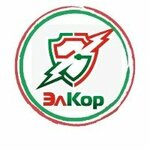 Элкор (No:1, territoriya Tekhnopark, Village of Prokhladnoe), elektroteknik ürün ve ekipman firmaları  Primoriye'den