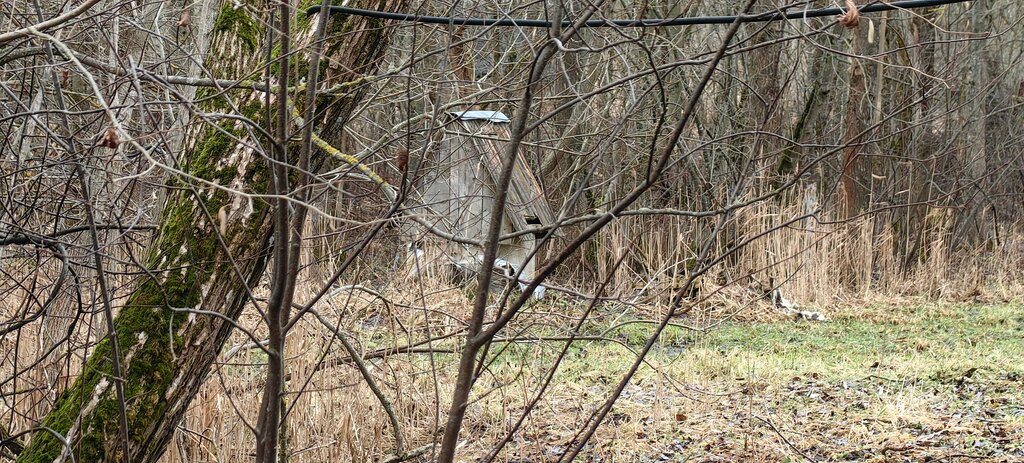 Kuyu Well, Smolenskaya oblastı, foto