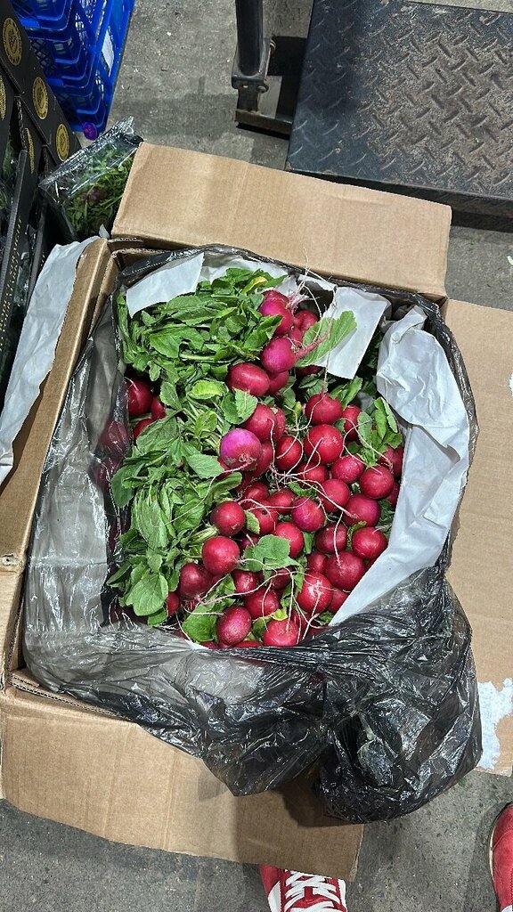 Toptan sebze ve meyve satışı Tabys Wholesale Market, Aktöbe, foto