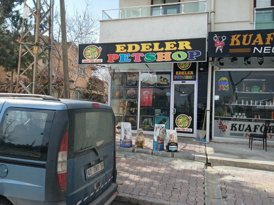 Petshop Edeler Petshop, Konya, foto