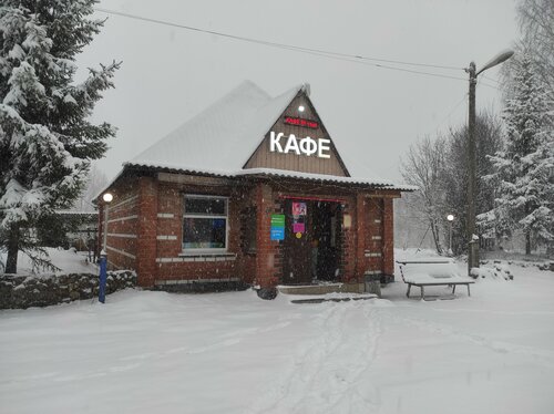 Kantin, yemekhane Теремок, Kalujskaya oblastı, foto