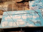 New mehriya milk shop (Dhoke Syedian Road No:9), süt ürünleri satış mağazaları  Rawalpindi'den