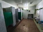 Туалет (Minskaja region, Sluck), tuvalet  Slutsk'tan