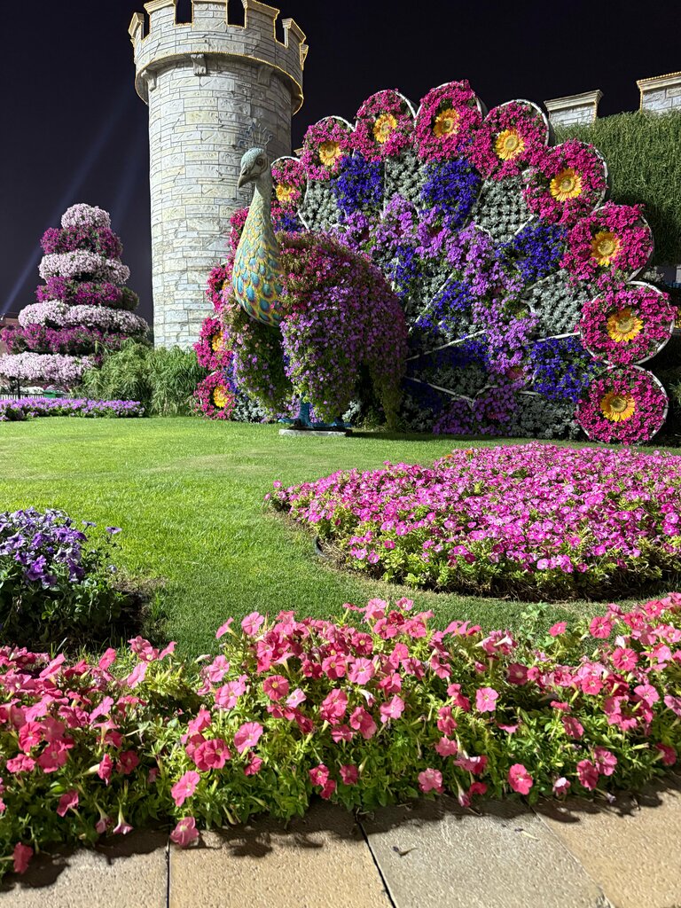 Toplu taşıma durağı Miracle Garden, Dubai, foto