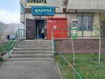 Qiwi (Ilıas Omarov kóshesi No:13), ödeme terminali  Astana'dan