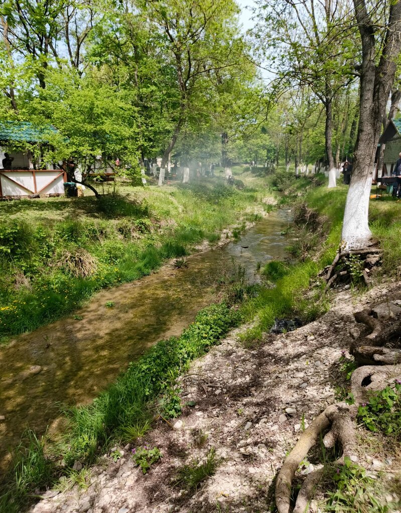 Resort oteller, tesisler Дом отдыха, Krasnodarski krayı, foto
