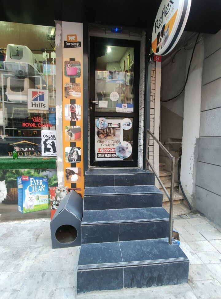 Petshop Teti Petshop, İstanbul, foto