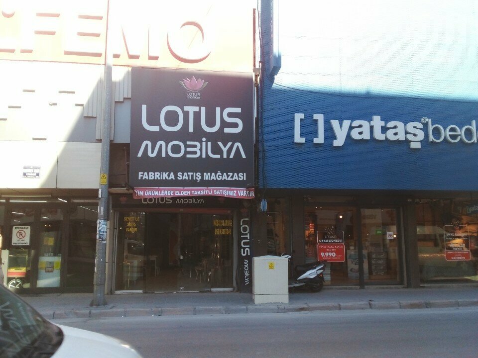 Mobilya mağazaları Lotus Mobilya, İzmir, foto
