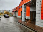 Bluetec (Kashirskoye Highway No:65А), kahve otomatı  Moskova'dan