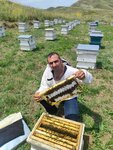 Vayots Sari Mexr (Vayots Dzor Region, Malishka village), bal ve arıcılık firmaları  Vayots Dzor'dan