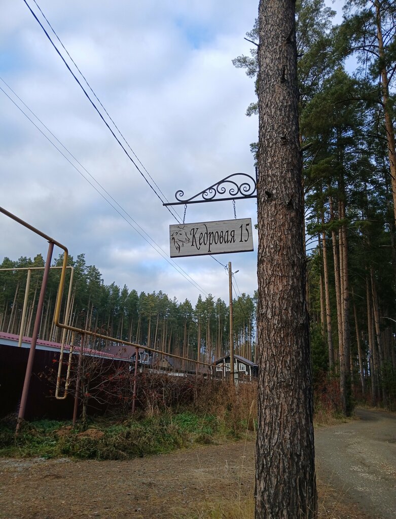 At ve binicilik kulüpleri Конный клуб, Sysert, foto