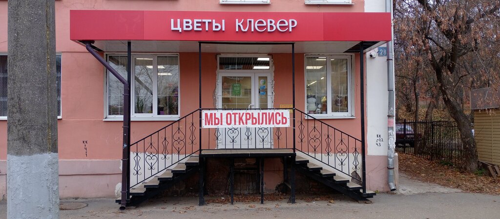 Çiçekçiler Цветы Клевер, Tula, foto