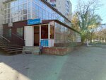 Ладья (ploshchad 50 let Oktyabrya No:8А), satranç kulübü  Nevinnomissk'ten