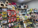 Балу зоомаркет (Yubileynaya Street No:49), petshop  Cherepovets'ten