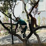 Bilge Arılar Anaokulu (Aydın, Nazilli, Dallıca Mah.), özel okul  Nazilli'den