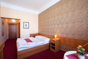 Hotel U Černého orla (Jihočeský kraj, Ceske Budejovice, Hradce), otel  Telc'ten