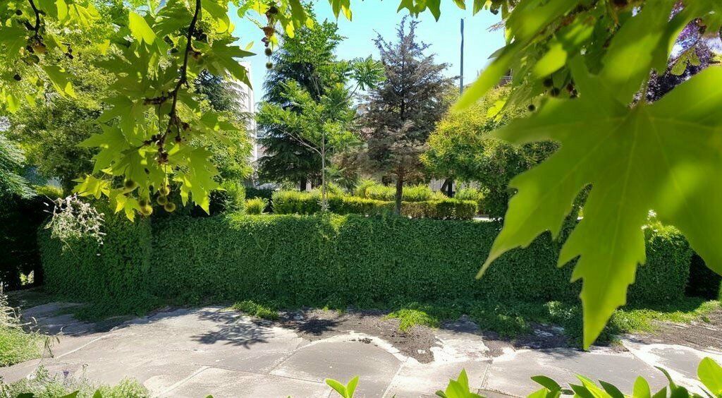 Kültür ve eğlence parkları Yeşil Çubuk Parkı, Ankara, foto