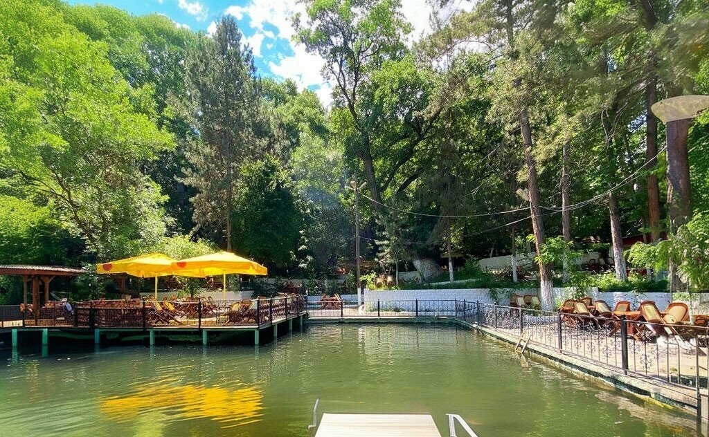 Piknik alanı Şarlayık Piknik, Gümüşhacıköy, foto