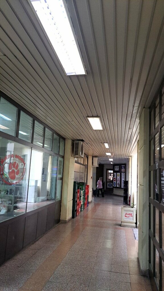 Cep telefonu aksesuarları Šapa Mobil, Belgrad, foto