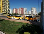 Baran Guven Taksi (Diyarbakır, Kayapınar, Mezopotamya Mah., 301. Sok.), taksi  Diyarbakır'dan