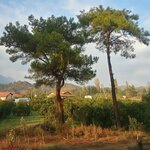 Forest View Camping (Antalya, Kemer, Kuzdere Mah., Akçasaz Mevkii Kümeevleri), kamp alanları  Kemer'den