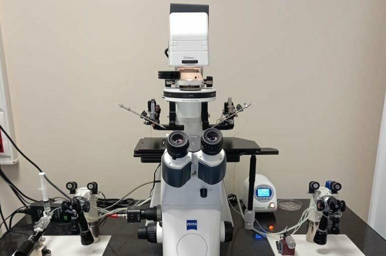 Hastaneler İskenderun Palmiye Tüp Bebek Merkezi, İskenderun, foto