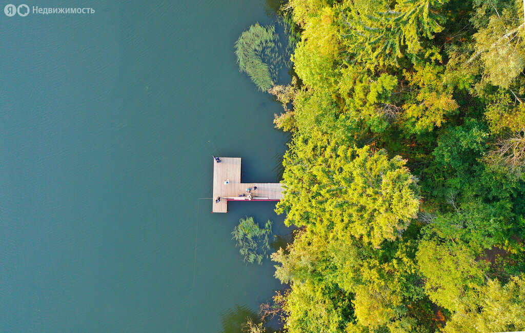 Yazlık yerleşim Приозерный, Moskova ve Moskovskaya oblastı, foto