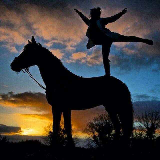 Hipodromlar Concordia, Krasnoyarski krayı, foto