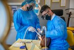 Dxb Esthetique (71, Dubai Healthcare City Street, Umm Hurair 2, Umm Hurair, Bur Dubai, Dubai), özel ağız ve diş sağlığı klinikleri ve muayenehaneleri  Dubai'den