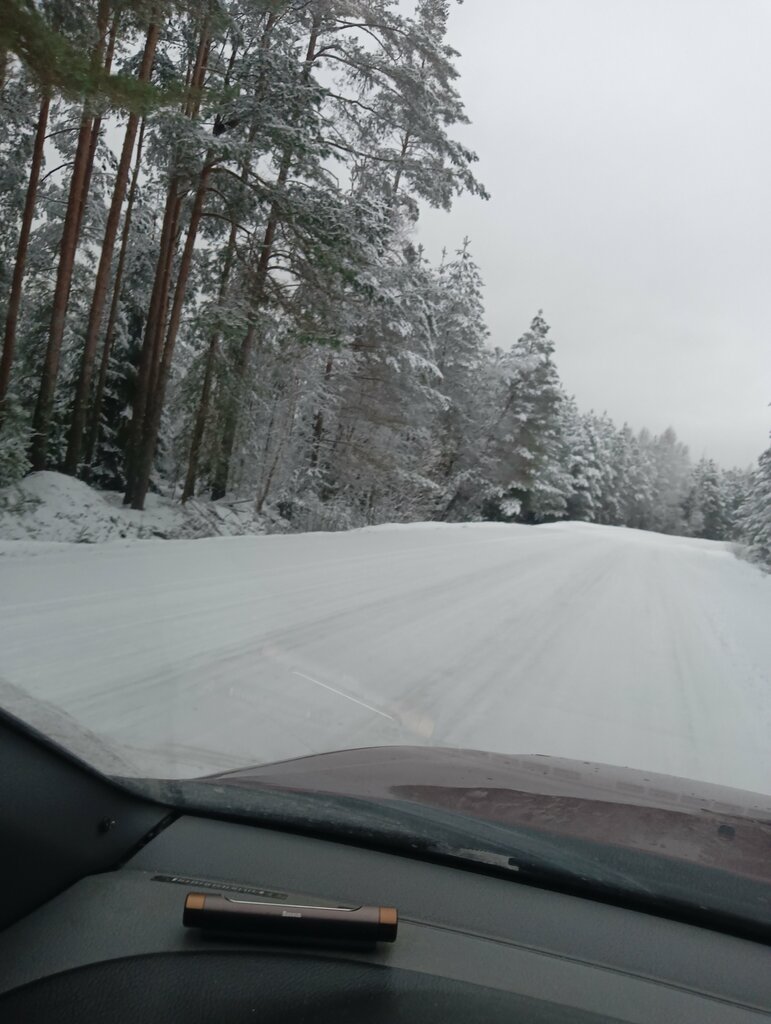 Dağ zirvesi Высота 198 метров, Smolenskaya oblastı, foto
