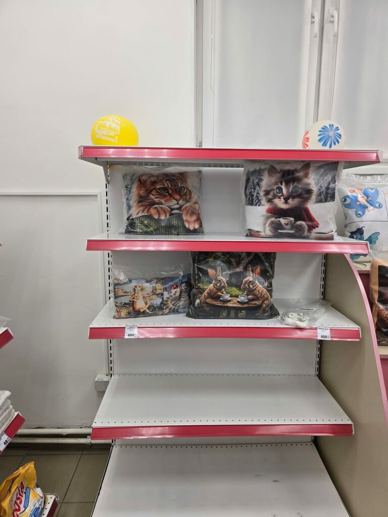 Ev temizlik ürünleri Sharik, Moskova ve Moskovskaya oblastı, foto