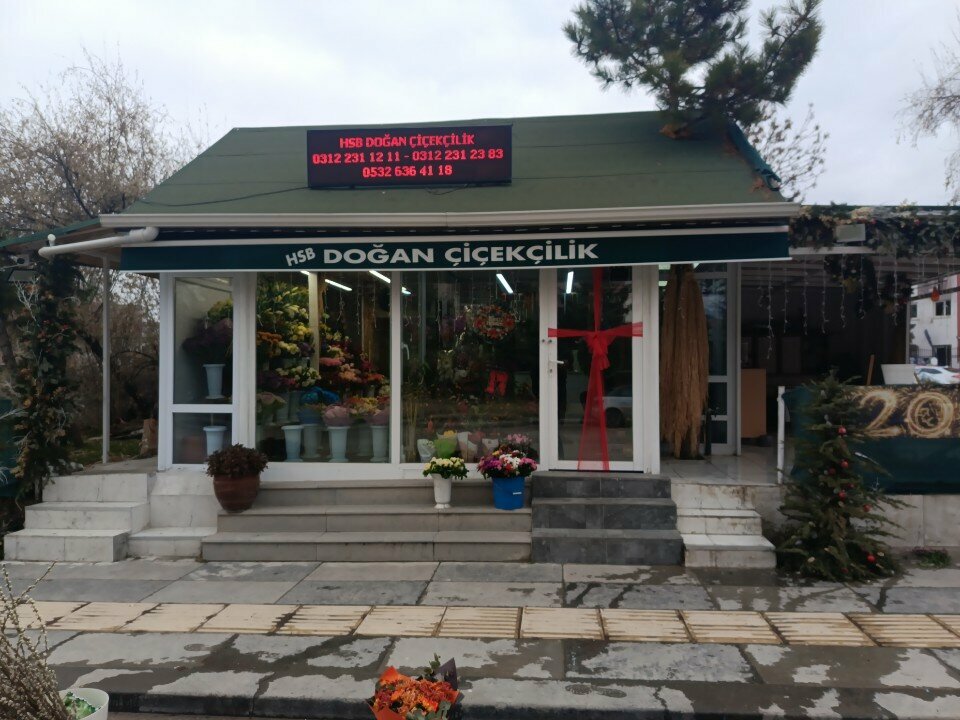 Çiçekçiler Hsb Doğan Çiçekçilik, Ankara, foto