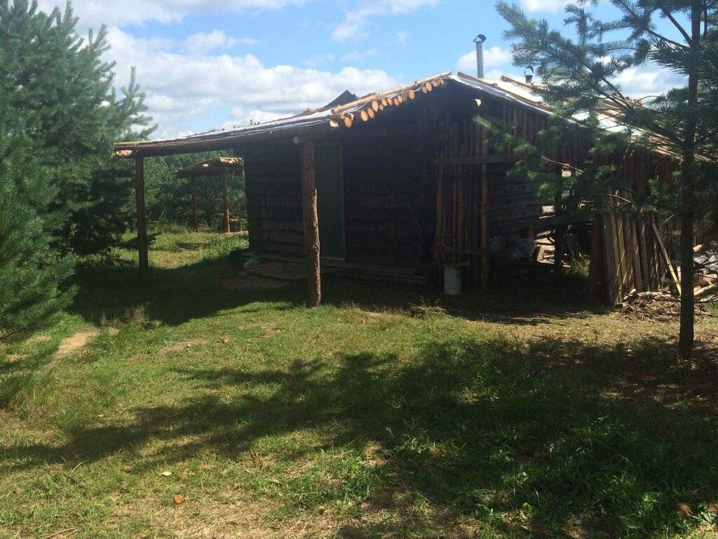 Piknik alanı Место для пикника, Vladimirskaya oblastı, foto