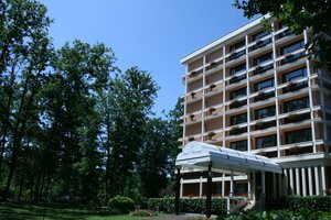 Le Grand Monarque (Île-de-France, Seine-et-Marne, La Rochette, Avenue du Général Leclerc, 870), otel