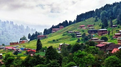 Otel Danzona Bungalov, Pazar, foto