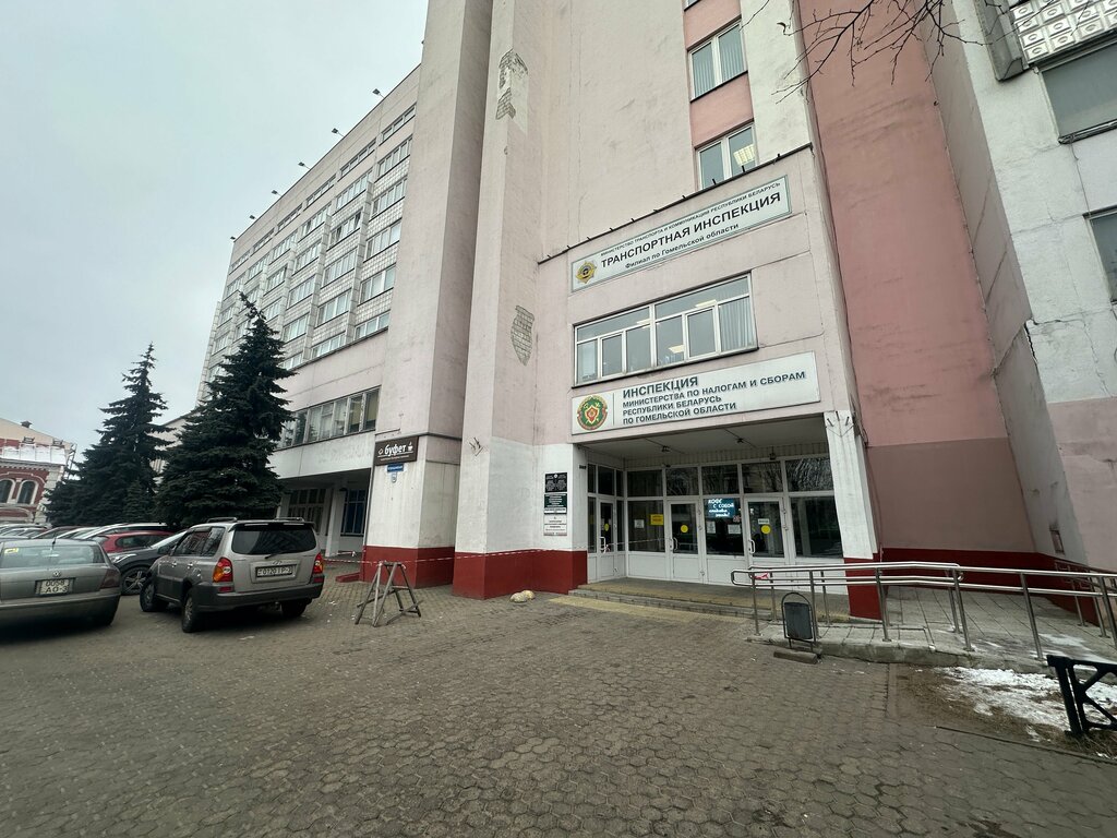Uzmanlık eğitimi Bamap-vedy, Gomel, foto