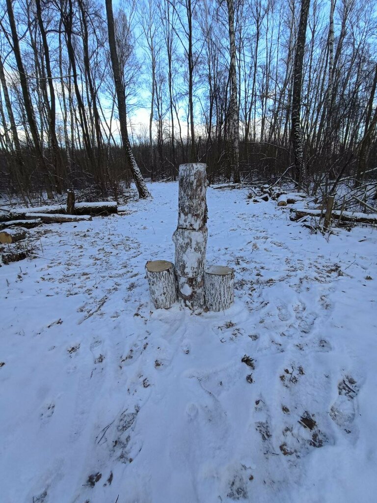 Orman Полянский лес, Moskova ve Moskovskaya oblastı, foto
