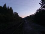 46 км (на линии Новолисино-Рогавка) (Leningrad Region, Tosnenskiy District, Fornosovskoye gorodskoye poseleniye), tren istasyonu  Saint‑Petersburg ve Leningradskaya oblastından