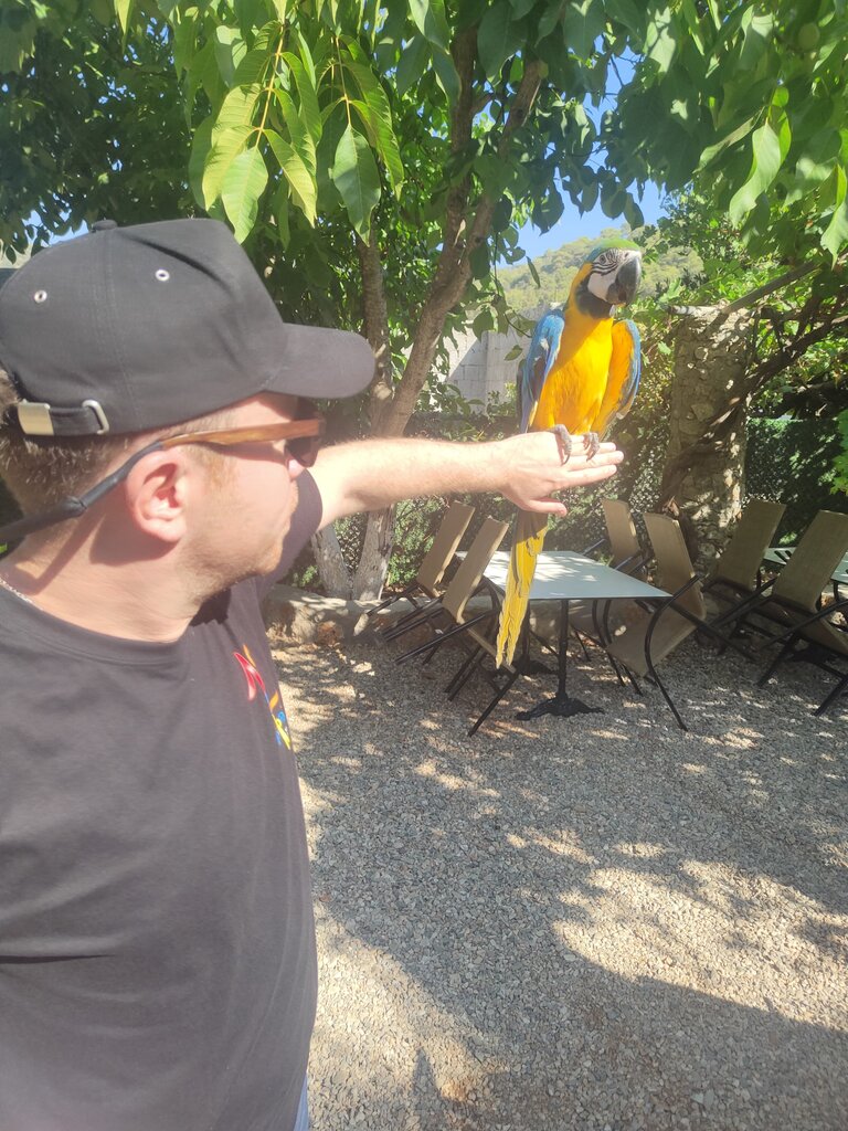 Restoran 12 Parrots Kayaköy, Fethiye, foto