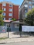 Yalı Mahallesi Muhtarlığı (Yalı Mah., Ayla Sok., No:8/1, Kartal, İstanbul), muhtarlıklar  İstanbul'dan
