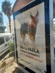 Otobüs Durağı (Türkkuyusu Mah., Hasan Reşat Öncü Cad., Bodrum, Muğla), otogarlar  Bodrum'dan