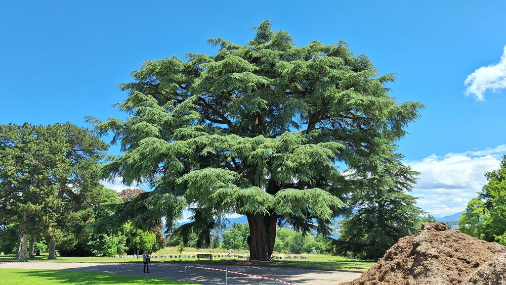 Kültür ve eğlence parkları Parc de I'Ariana, Cenova, foto