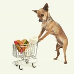 Petmarketburada.com (İstanbul, Küçükçekmece, Beşyol Mah., Cami Sok., 4), petshop  İstanbul'dan