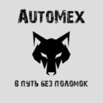 AutoMex (Tula Region, Bogoroditskiy rayon, selskoye poseleniye Iyevlevskoye), kamyonların onarımı  Tulskaya oblastından