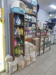 Pet Shop (Street named after Evney Buketov No:50), petshop  Petropavl'dan (Petropavlovsk'tan)