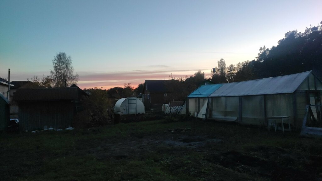 Market Манола, Primorsk, foto