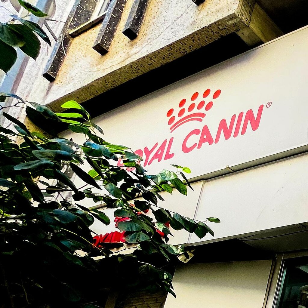 Petshop Pet Yuvası Petshop, İstanbul, foto